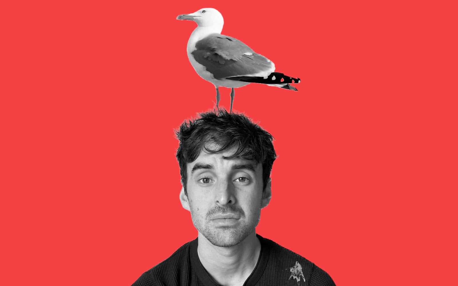 Stupid F*cking Bird Is A Foul-Mouthed Emotional Release